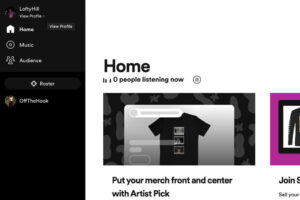 How To Write A Spotify Bio (With Tips And Examples)